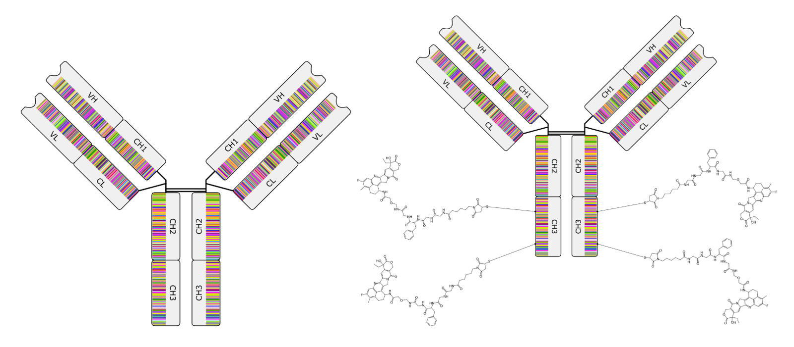Vault Snack #31 – Chemically-Aware Antibody and Antibody Drug Conjugate ...