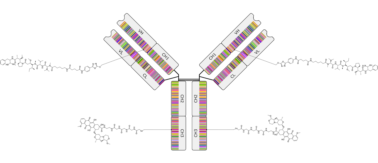 Vault Snack #31 – Chemically-Aware Antibody and Antibody Drug Conjugate ...